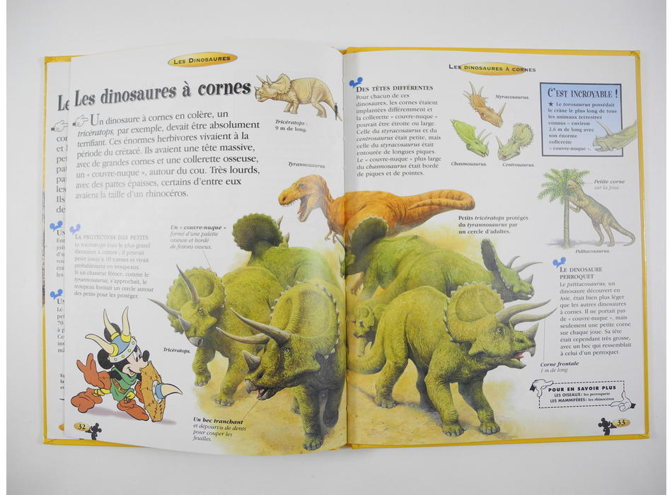 Le monde merveilleux de la connaissance des dinosaures - Disney ...