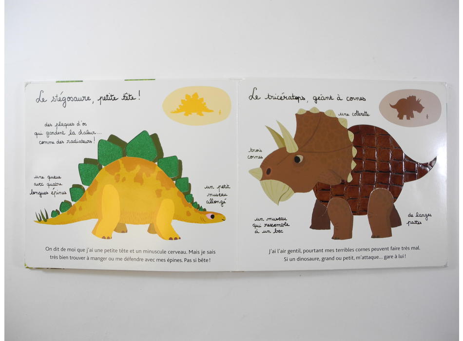 Mes dinosaures à toucher - Editions Milan - Livres | Mon Petit Doudou